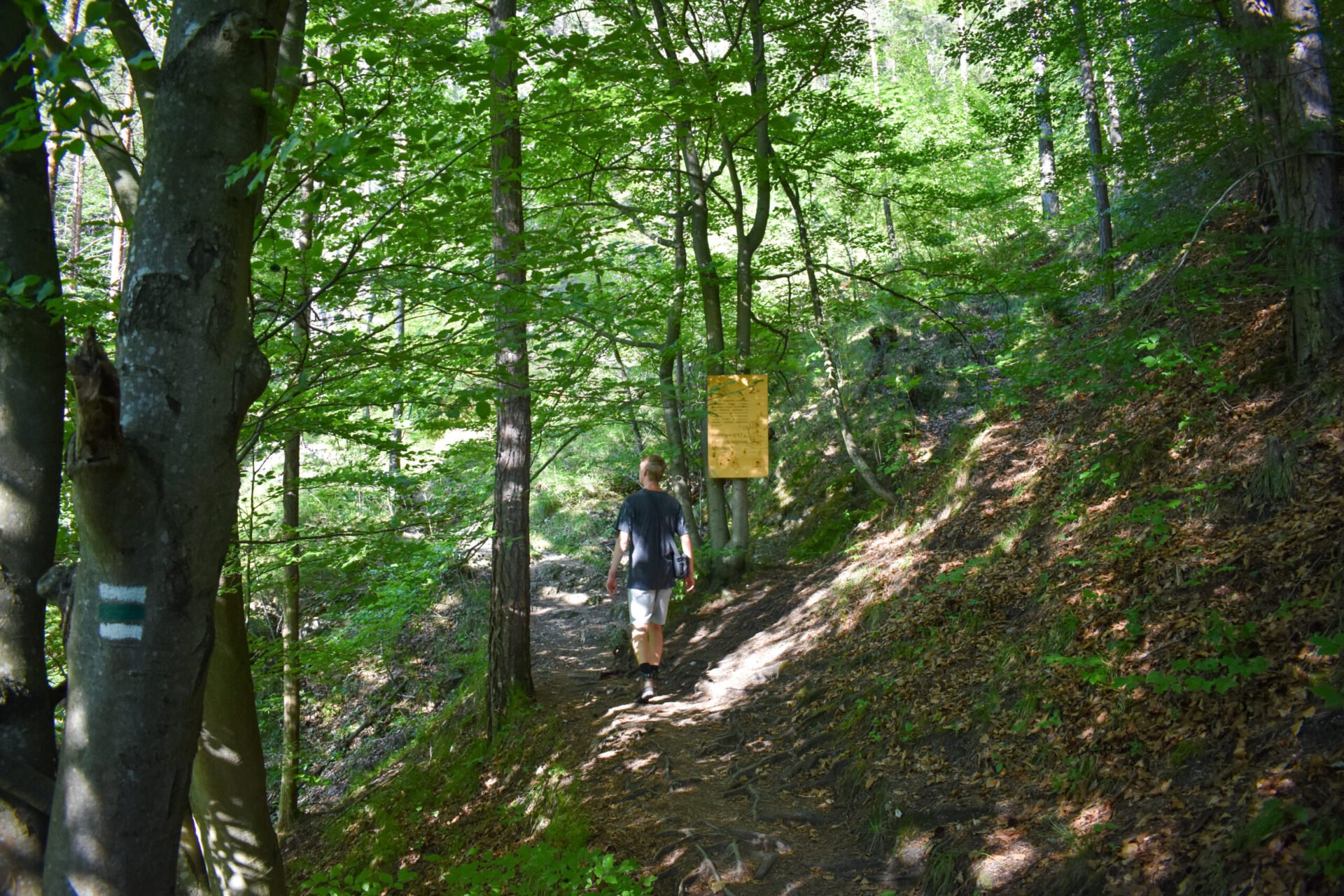 Súľovské skaly – Súľovský hrad