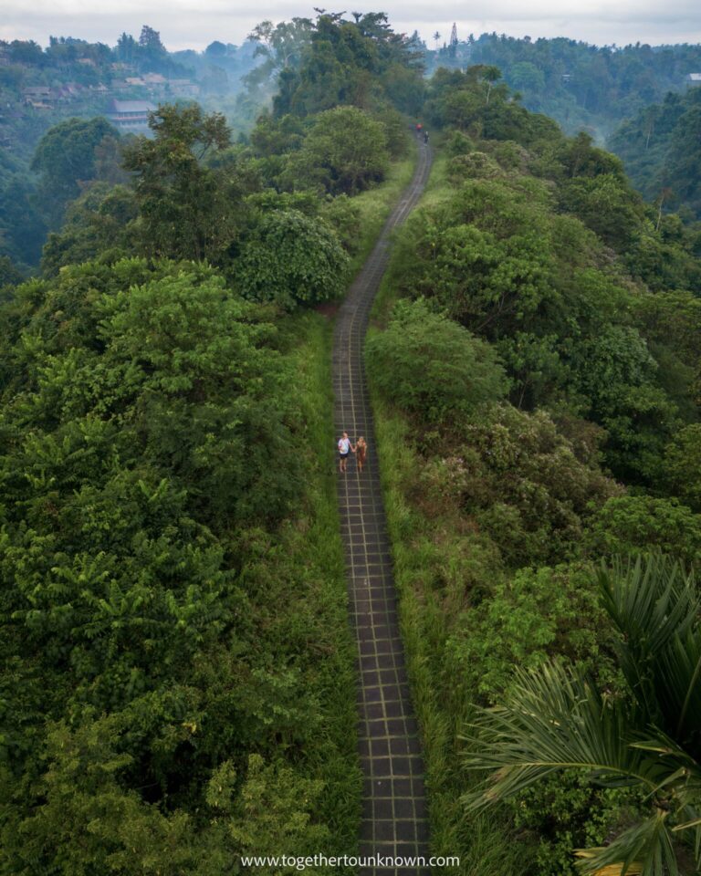 13 Best things to do in Ubud
