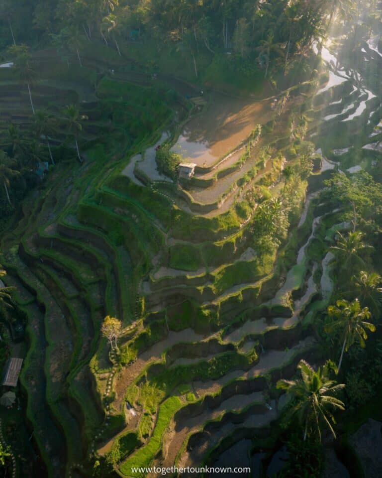 13 Best things to do in Ubud