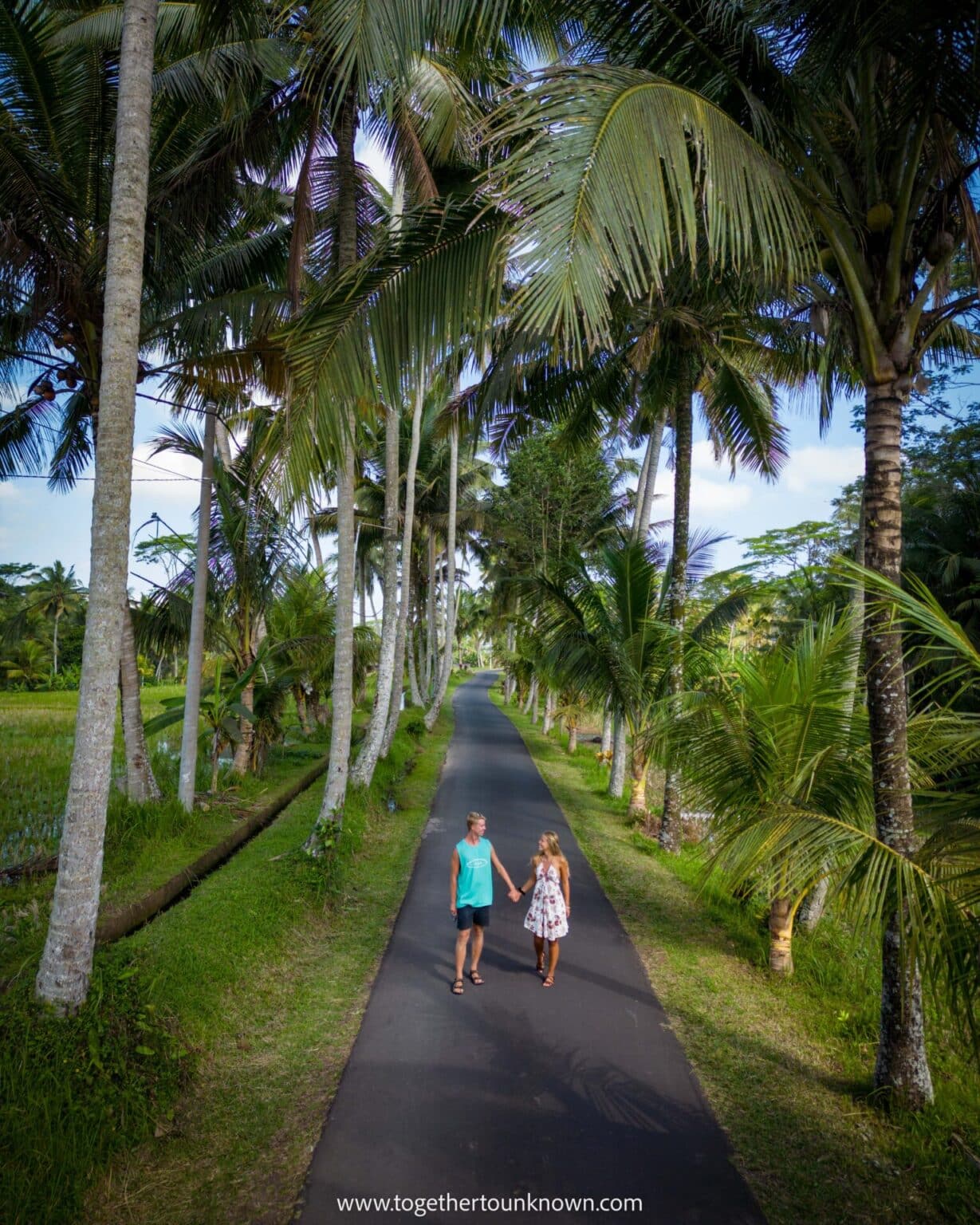 13 Best things to do in Ubud